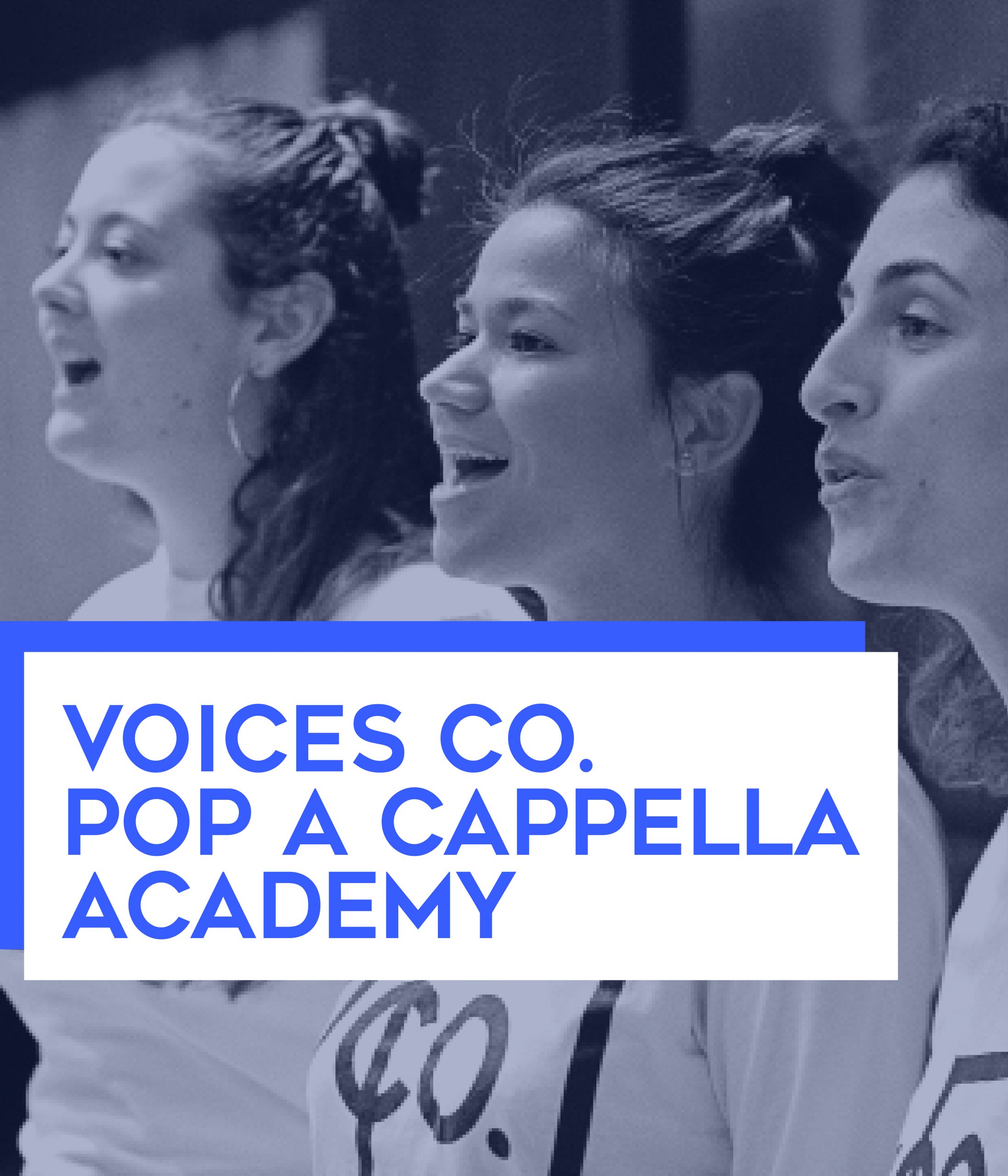 Voices Co. Academy - NZ Music Teachers Online